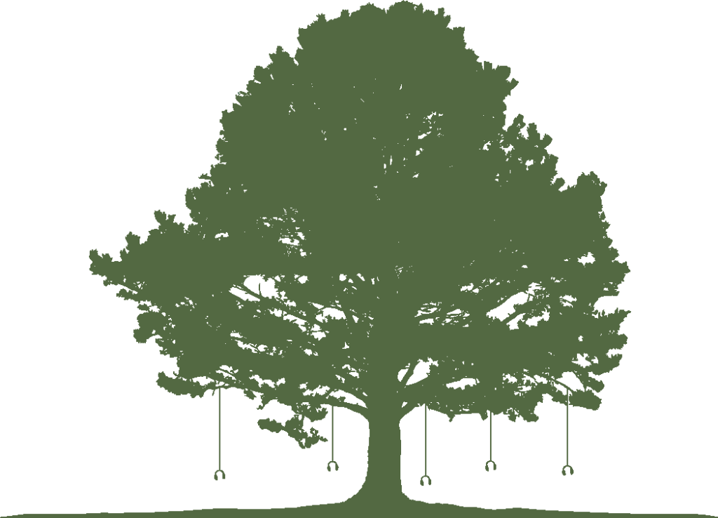 Tree listening – Alex Metcalf artist who listens to trees